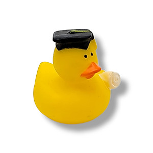 Cool Holiday Rubber Ducks (2") Standard Size. (12 Pack) Cute Duck Bath Tub Pool Toys. (Graduation Rubber Ducks)
