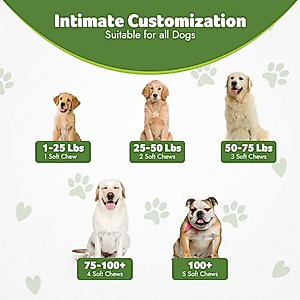 Pawadox - Hemp Calming Chews for Dogs, Easy to Digest, Made from Organic Hemp, Chamomile, Passion Flower for Dog Anxiety Relief, SQF Certified Facility, Tasty Duck Flavor - 120 Soft Chews