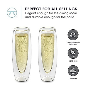 Outset Stemless Champagne Flutes Double Wall Glassware, Borosilicate Glass 2 Count (Pack of 1)
