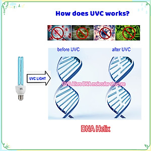 labaliya Light Bulb Fluorescent Light Bulb 25W Energy Saving 253.7nm Wavelength 110 Volt E26/E27 Socket (Ozone Free)