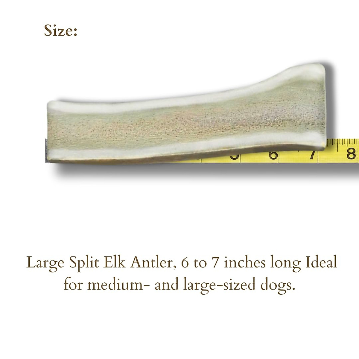 WhiteTail Naturals - Split Antlers for Large Dogs - (2 Pack- Large) - Naturally Shed, Long Lasting Dog Antler Horn - Tough Chew Bones for Aggressive Chewers