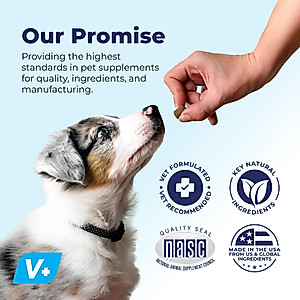 Vetnique Labs Profivex Probiotics for Dogs All Natural Dog Chews & Powder for Digestive Health Probiotic Supplements for Dogs 5 Strains of Probiotics & Prebiotics (Soft Chews, 60ct)