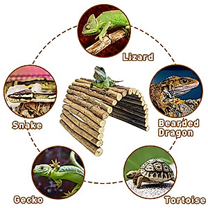 BNOSDM 13.78’’ x 20’’ Reptile Hideout Wooden Bridge Lizard Hide Caves Bearded Dragon Habitat Accessories for Gecko Snake Frog Chameleon Iguana Tortoise