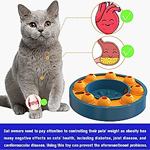 Puzzles Toy Used for Both Cats Dogs,Cat Brain Toys Kitten Mental Stimulation Kitty Mentally Stimulating Puzzle Feeder Best Interactive Indoor Treat Dispenser Food Dispensing Bowl Smart Game C