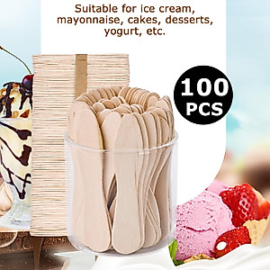 HANSGO 100PCS Wooden Ice Cream Spoons, Mini Tasting Spoons Wooden Small Dessert Spoons Sample Spoons for Crafts Tasting Sampling