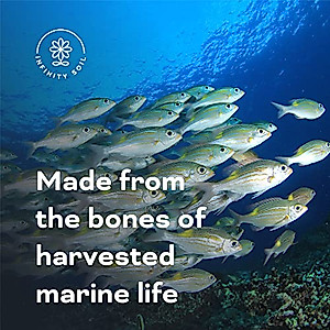 Infinity Soil - Fish Bone Meal - Sustainable and Natural Soil Amendment - Made from Dried Fish Bones - A Natural Source of Phosphorus and Calcium - 1 LB