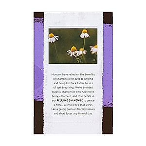 Allegro Tea, Organic Relaxing Chamomile Tea Bags, 20 ct