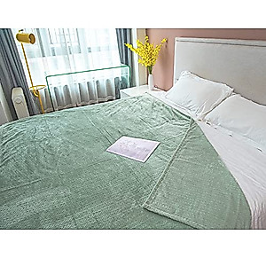 Devirld Fleece Blanket Soft Throw Blanket Fluffy Blankets Warm Plush Cozy Throws for Couch Sofa Bed, Mint Green, Throw(50"x60")