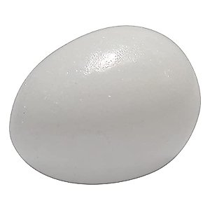 My God Gift SHALIGRAM JI for Puja & Gift Item for Home/Temple-Color White…