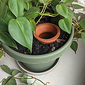 Clay Olla - Pint Sized - Ideal for a 8"-12" Pot