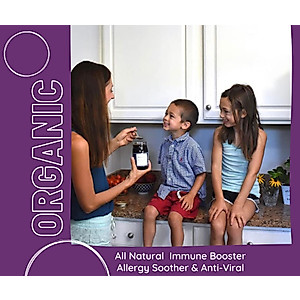 Elderberry Boost - Organic Elderberry Syrup with Raw Honey - Made for Kids & Adults (16 oz)