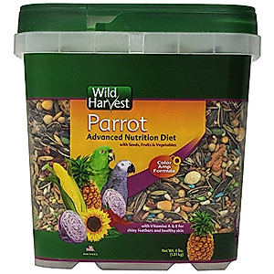 Wild Harvest WH-83542 Wild Harvest Advanced Nutrition Diet for Parrots, 4-Pound (Packaging May Vary)