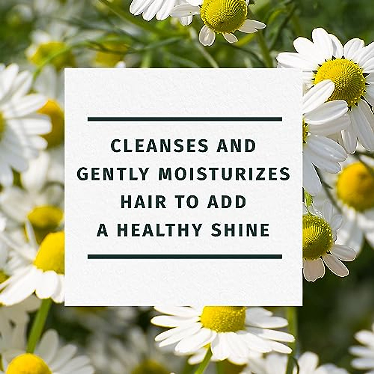 Herbal Essences Shine Collection Shampoo and Conditioner Bundle