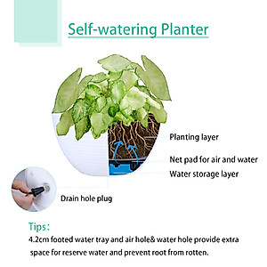 summer flower 2Pack Self Watering Hanging Planters,9.9 Inch Hanging Baskets for Christmas Plant, Hanging Pots for Indoor Outdoor Hanging Plant Holder for Garden Porch Ceiling -White,Plant Not Included