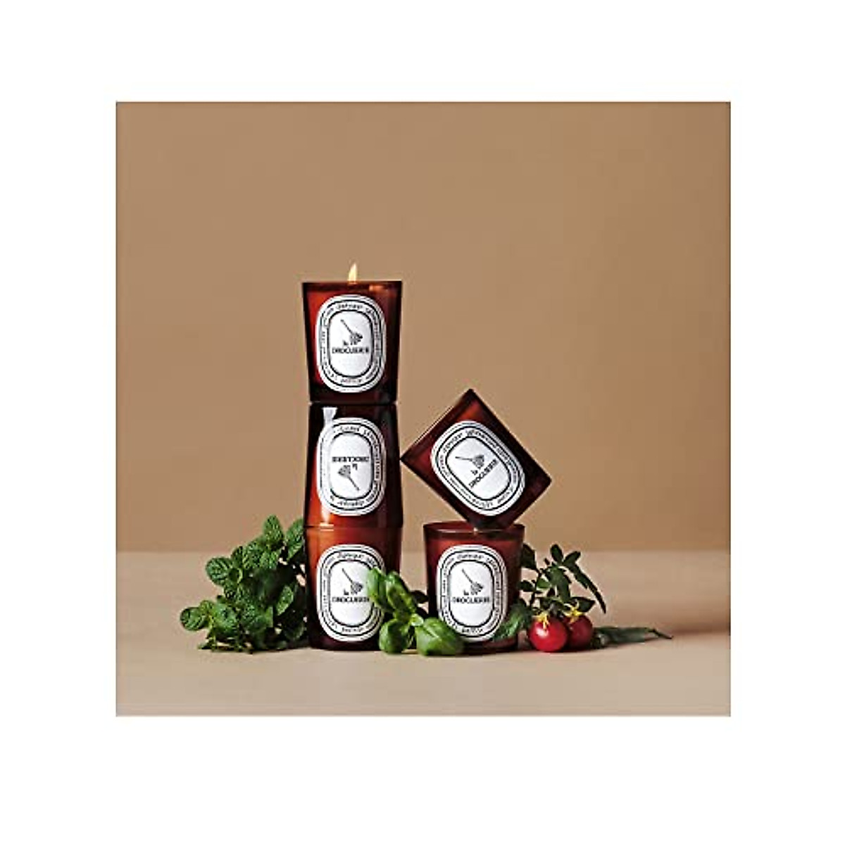 Diptyque - la DROGUERIE - Odor Removing Candle with Basil 6.5 oz.