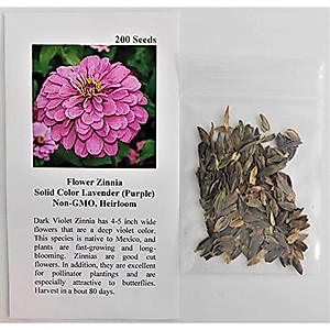 David's Garden Seeds Flower Zinnia Solid Color Lavender FBA-1162 (Purple) 200 Non-GMO, Heirloom Seeds