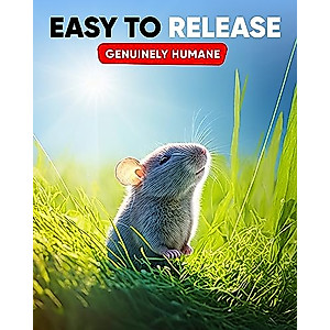 Motel Mouse Humane Mouse Traps No Kill Live Catch and Release 2 Pack - Reusable, Easy to Use & Clean, No Touch Release, Sensitive Includes Cleaning Brush, Instruction Manual & Video - Mousetrap Indoor