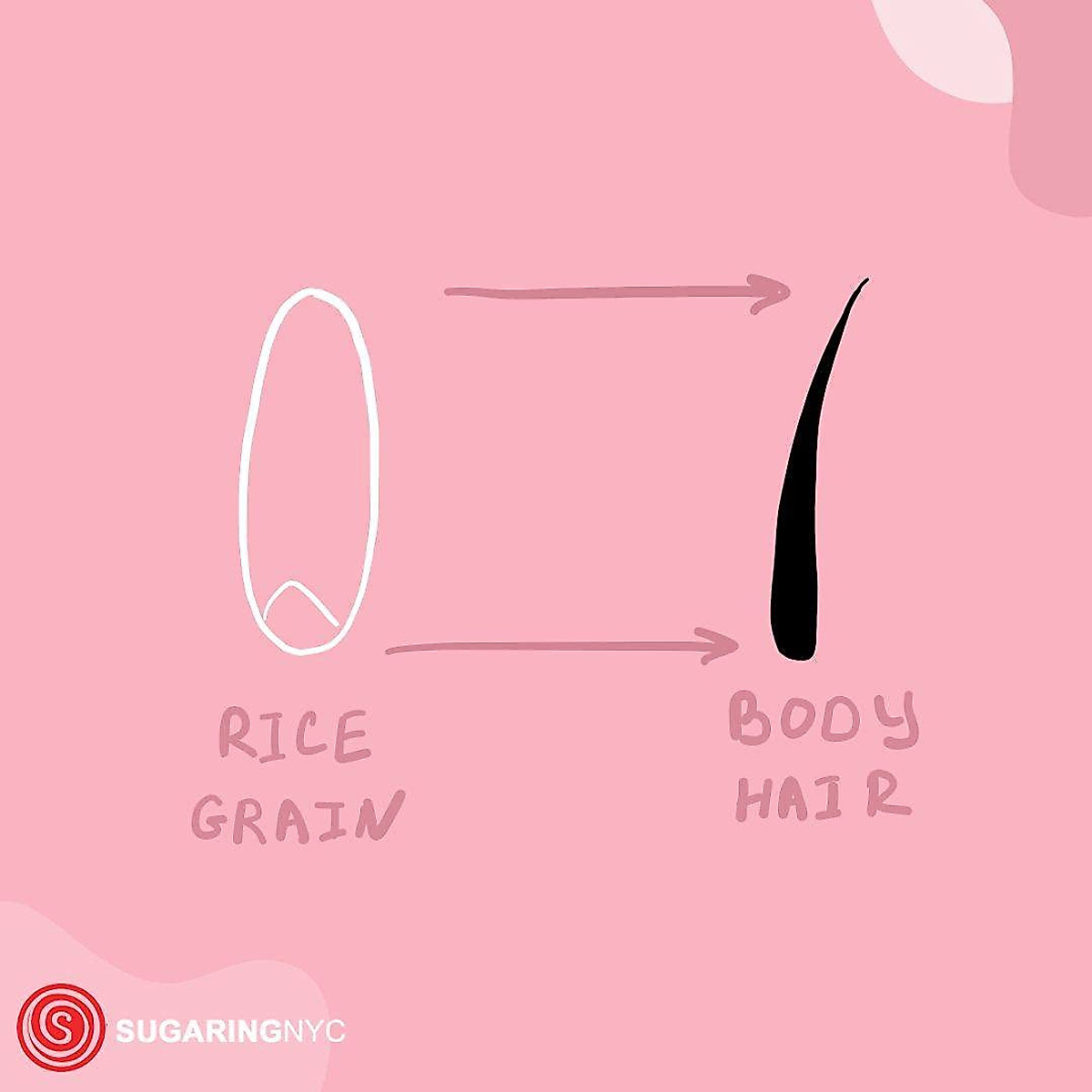 Sugar Paste Organic Waxing for Bikini Area and Brazilian + Applicator and Set of Gloves for Sugaring