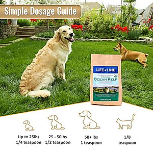 Organic Ocean KELP 5 LB