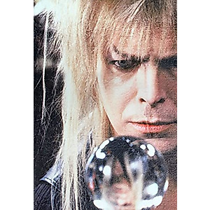 Surreal Entertainment Labyrinth The Movie Jareth The Goblin King Super Soft Fleece Throw Blanket, Black, One Size