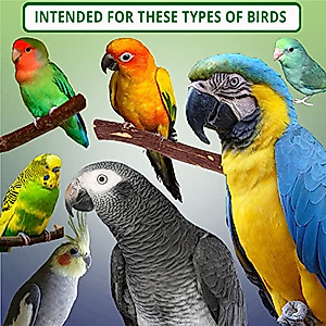 M&M Cage Company - Bird Cage Light with Chew Guard - Full Spectrum LED Pet Light - Simulates Natural Environment - Safe for Destructive Chewers, Parrots etc. - No Bulbs to Change (18" Long)
