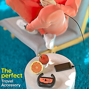 TalkWorks Power Bank Compatible with Nintendo Switch - Portable Charger Power Battery Pack with USB Ports & LED Battery Indicator - Easy-to-Carry External Battery Supply w/ 3-Foot USB-C Cable