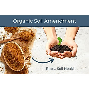 Southside Plants Dry Molasses Plant Fertile Soil - Organic Dried Molasses Powder Boost Health of Your Soil & Pet with Vitamins Carbohydrates - Beneficial Soil for Natural Gardening 5 lb