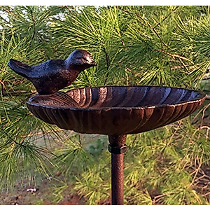 Scallop Shell Garden Stake, Bird Feeder, Cast Iron, 3 Feet 2 1/2 Inches Tall, Rustic Garden Decoration
