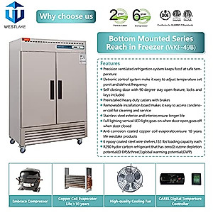 WESTLAKE Commercial Freezer 54"W 2 Door 2 Section Stainless Steel Reach-in Solid Door Upright Fan Cooling 49 Cu.ft Freezer for Restaurant, Bar, Shop, etc
