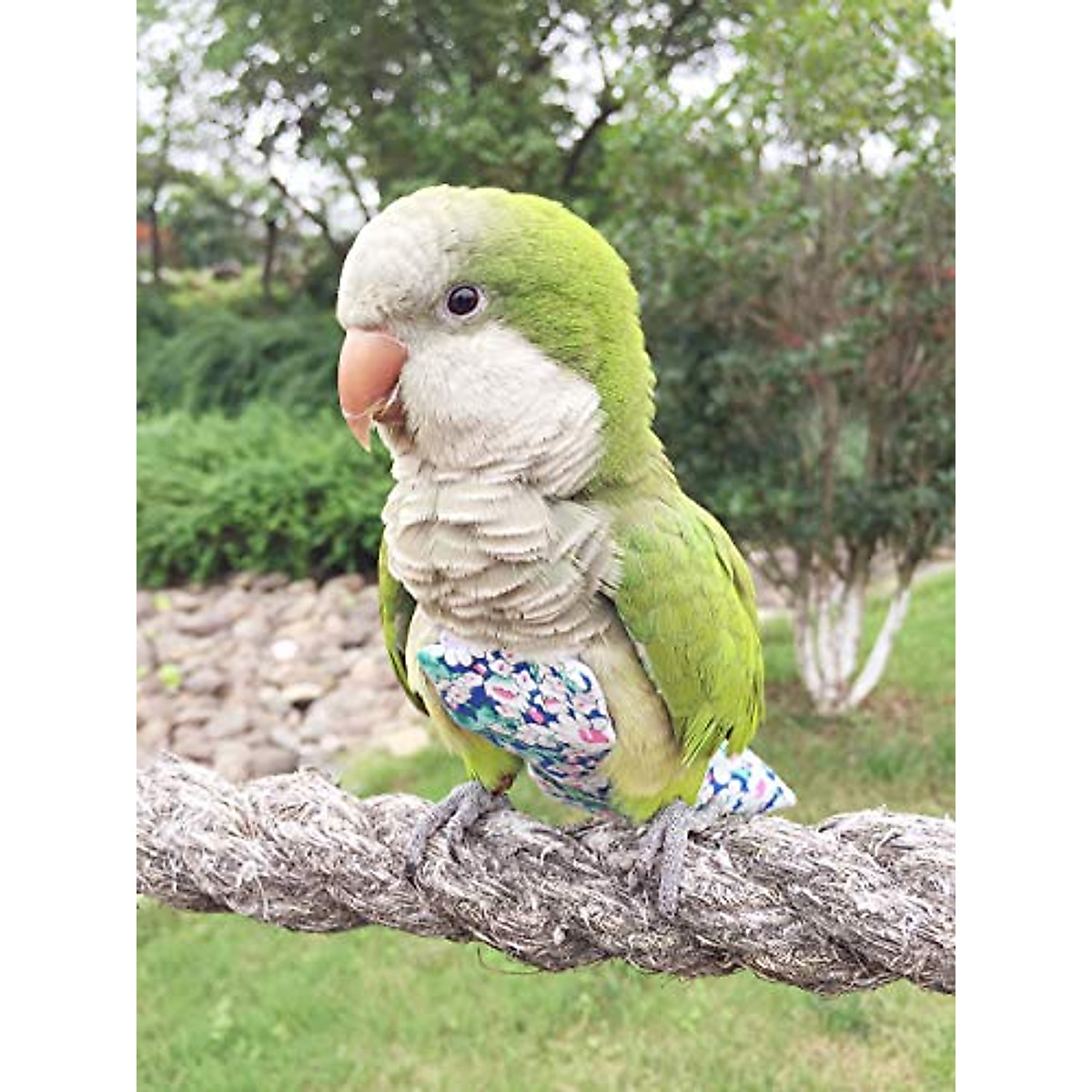 HEZHUO Parrot Diapers, Bird Flight Suits, Bird Suits, Reusable Waterproof Diapers, pet Bird Supplies (M, Pink)