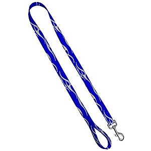 Flame Print Dog Leash - Hot Rod Flame Print Dog Leash Waterproof With Easy Grip Loop – 1 Inch x 4 Feet, Blue/Silver