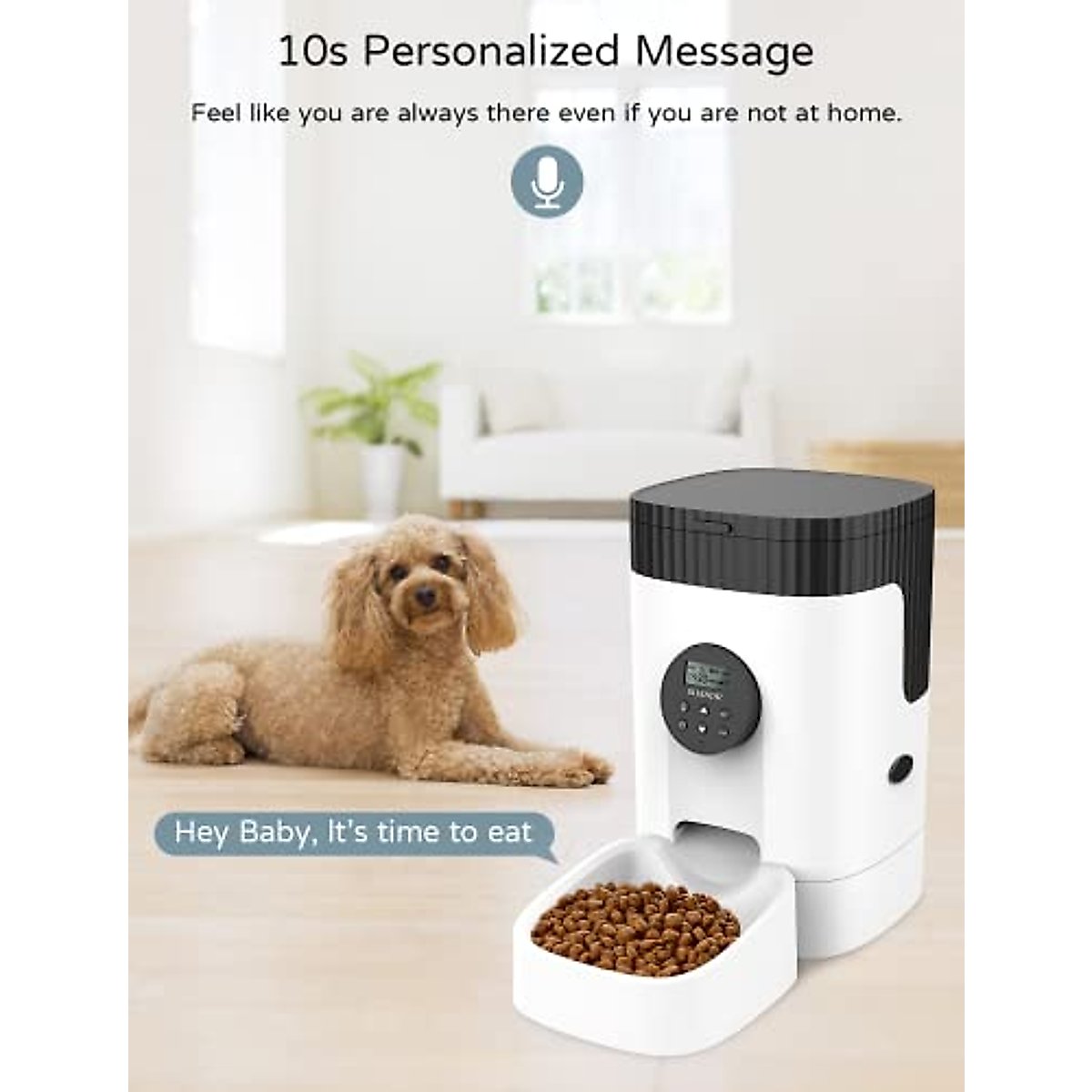 SHANDII Automatic Cat Feeder, 4L Programmable Pet Food Dispenser with Timer and Portion Control, 1-4 Meals per Day, Button-Lock Lid with Desiccant Bag, 10s Voice Recorder, BF40