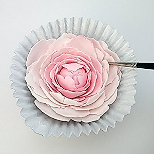 Fondant Icing Cutter Set 3/Pkg-Easiest Peony
