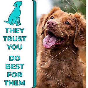 H&H Pets Bamboo Toothbrush Set for Dogs and Cats - Soft Bristles & Biodegradable Wooden Toothbrush, Puppy Supplies, Dog Brush Set, Pet Supplies Dog Grooming Kit Eco-Friendly (Size Small, 3-Count Pack)