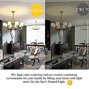 winsaLED Light Bulbs 40 Watt, 2700K Soft Warm Light Bulbs, ST19 Edison Bulbs Design, LED 4W with 450lm Output, E26 Medium Base, High CRI 90+, Not dimmable, Pack of 12