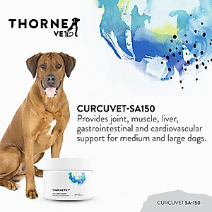 ThorneVet CurcuVET-SA150 Powder, 90 Scoops