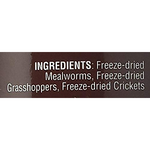 Fluker's Bearded Dragon Medley Treat Food, 3.2-Ounce (72023)