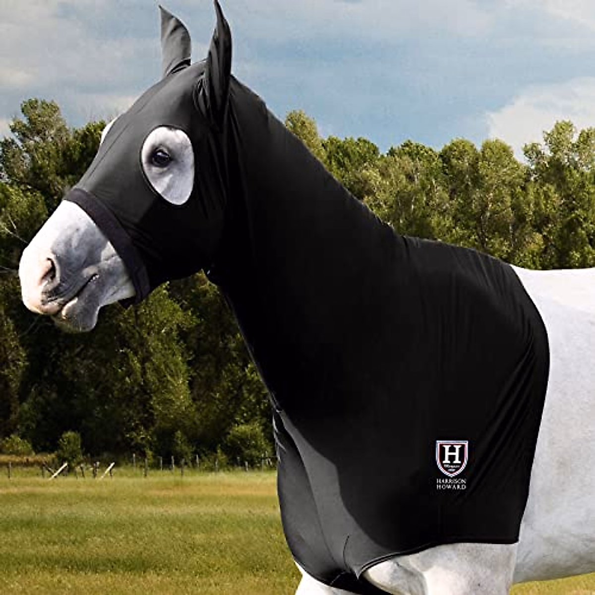 Harrison Howard Horse Stretchy Head Hood with Zipper Black Large L