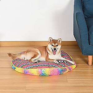 Universal Studios Trolls Good Luck Trolls Dog Napper Bed | Soft Dog Bed, Multicolor Rainbow Dog Bed | Comfortable Dog Bed for Dogs | Pet Bed, Dog Mat, Crate Bed, Puppy Bed, Trolls Dog Bed