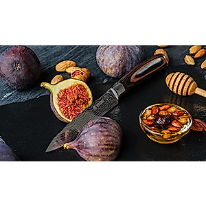 Yatoshi 4-Piece Steak Knife Set - Pro Kitchen Knife Set Ultra Sharp High Carbon Stainless Steel