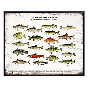 Vintage Rustic Fish Wall Art Decor Poster Print - Freshwater Bass, Trout Fishing Picture for Lake House, Cabin - Boho Shabby Chic Farmhouse Style Sign Plaque Replica - Gift for Fisherman - Unframed