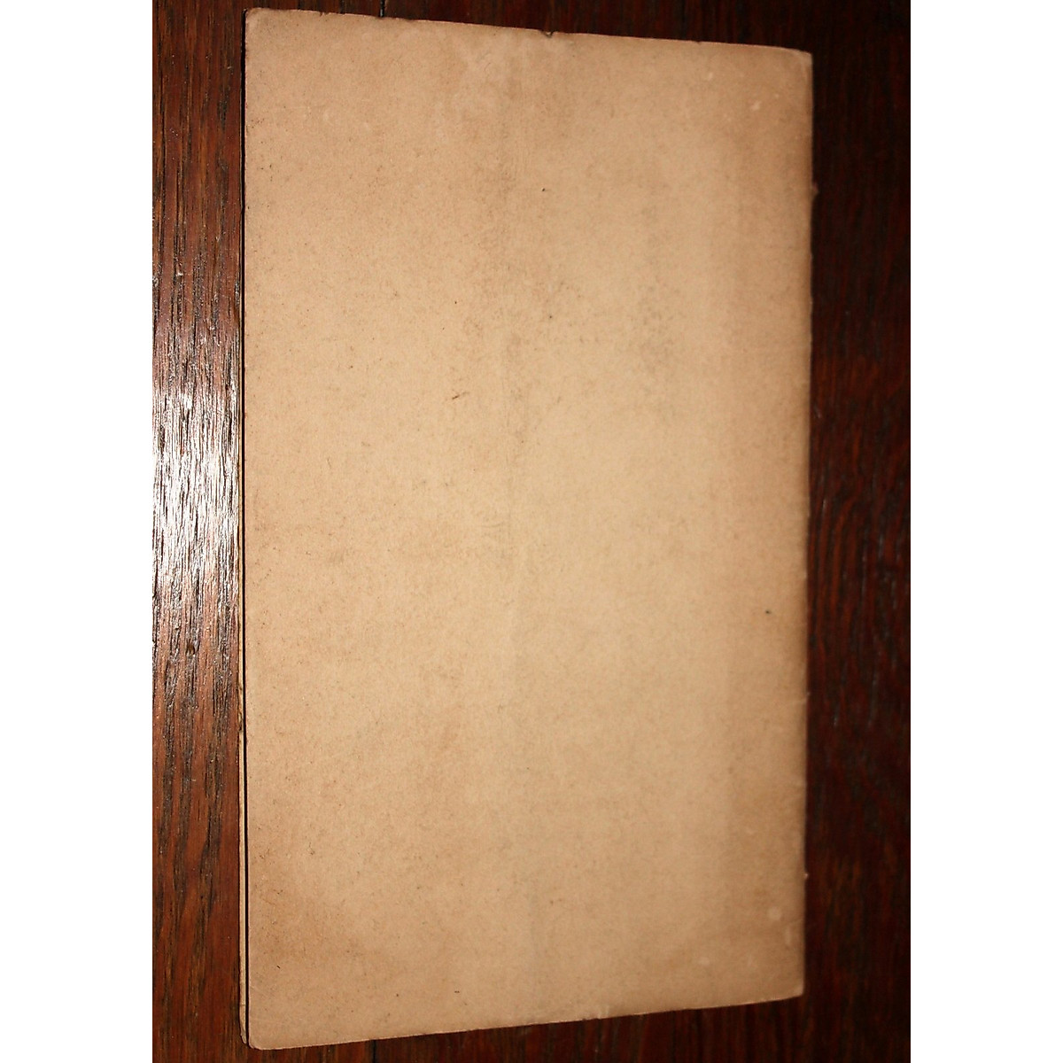 Above the Clouds and Old New York - ...The Woolworth Building