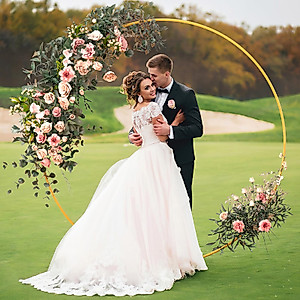 Bezente 7.2ft Round Backdrop Stand, Golden Metal Balloon Arch Stand, Stable Wedding Arch Circle Backdrop Stand Frame for Wedding Birthday Baby Shower Party Decoration