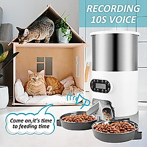 Automatic Cat Feeder, 4.5L Cat Food Dispenser, Timed Small Pet Feeder with 2-Way Splitter & 10s Voice Recorder, Auto Cat Feeder for Cat & Small Dog