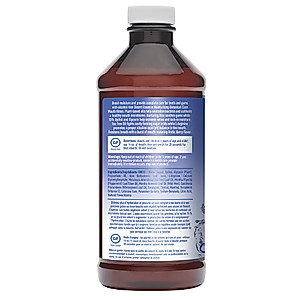 Desert Essence Moisturizing Botanical Care Mouth Rinse - Arctic Berry