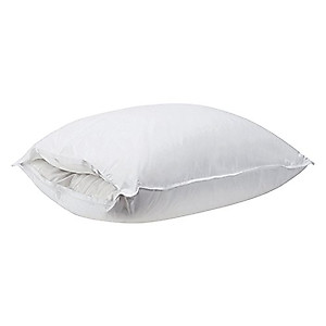 DownTown Company Removable Interchangeable Core Polyfill Pillow, Queen, White