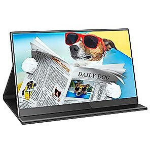 HONGO Portable Monitor Extremely Thin 15.6 Inch FHD 1080P Computer Gaming Dual Monitor USBC Display for Laptop PC Phone Xbox PS4 Switch, Smart Stand Included