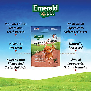 Feline Dental Treats — Tasty and Crunchy Cat Dental Treats Grain Free — Natural Dental Treats to Clean Cat Teeth, Freshen Cat Breath, and Reduce Plaque and Tartar Buildup — Salmon Treats, 3 oz