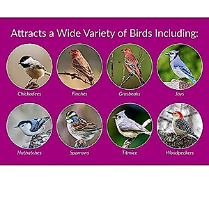 Desert Valley Premium Sunflower Seed Hearts and Chips - Wild Bird Food, Cardinals, Jays & More (10-Pounds)