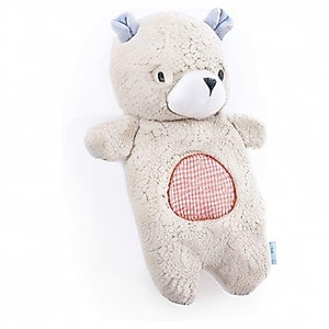 Ingenuity Premium Soft Mini Bean Bag Plush, Nate The Teddy Bear, Ages Newborn and up.
